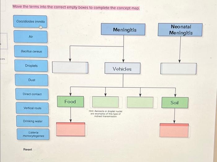 Solved ces Move the terms into the correct empty boxes to | Chegg.com