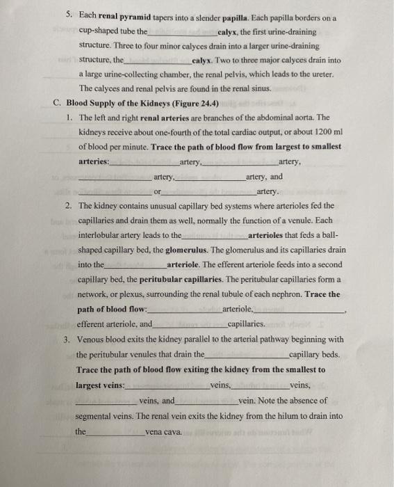 Solved Module 24.1 Overview of the Urinary System (Figure | Chegg.com