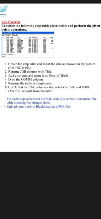 Solved C Gel Homework Help With Cheyo x C Lab Exercise | Chegg.com