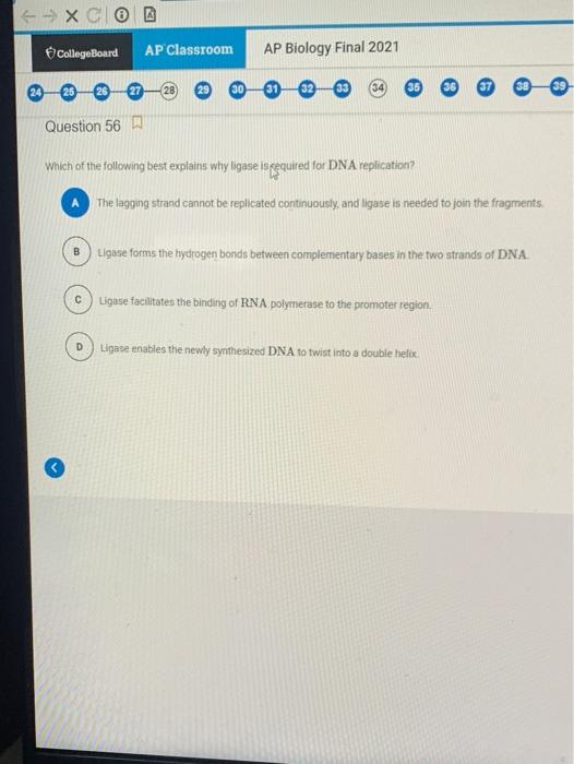 Solved EXCO CollegeBoard AP Classroom AP Biology Final 2021 | Chegg.com