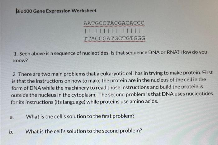 Solved Bio100 Gene Expression Worksheet 1. Seen above is a | Chegg.com