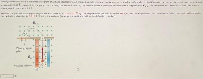 Solved The figure below shows a schematic diogram of a mass | Chegg.com