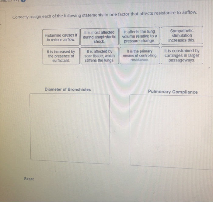 Solved Correctly assign each of the following statements to | Chegg.com