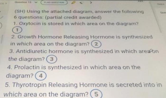 Solved (SH) Using the attached diagram, answer the following | Chegg.com