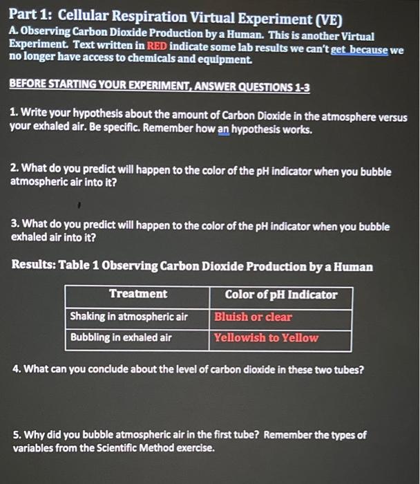 Part 1: Cellular Respiration Virtual Experiment (VE) | Chegg.com