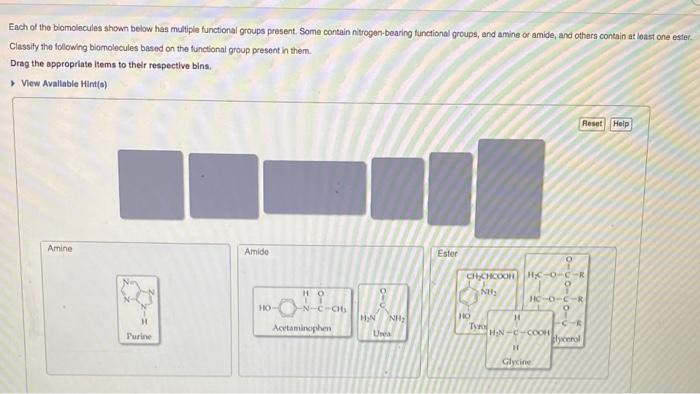 Solved Each of the biomolecules shown below has multiple | Chegg.com