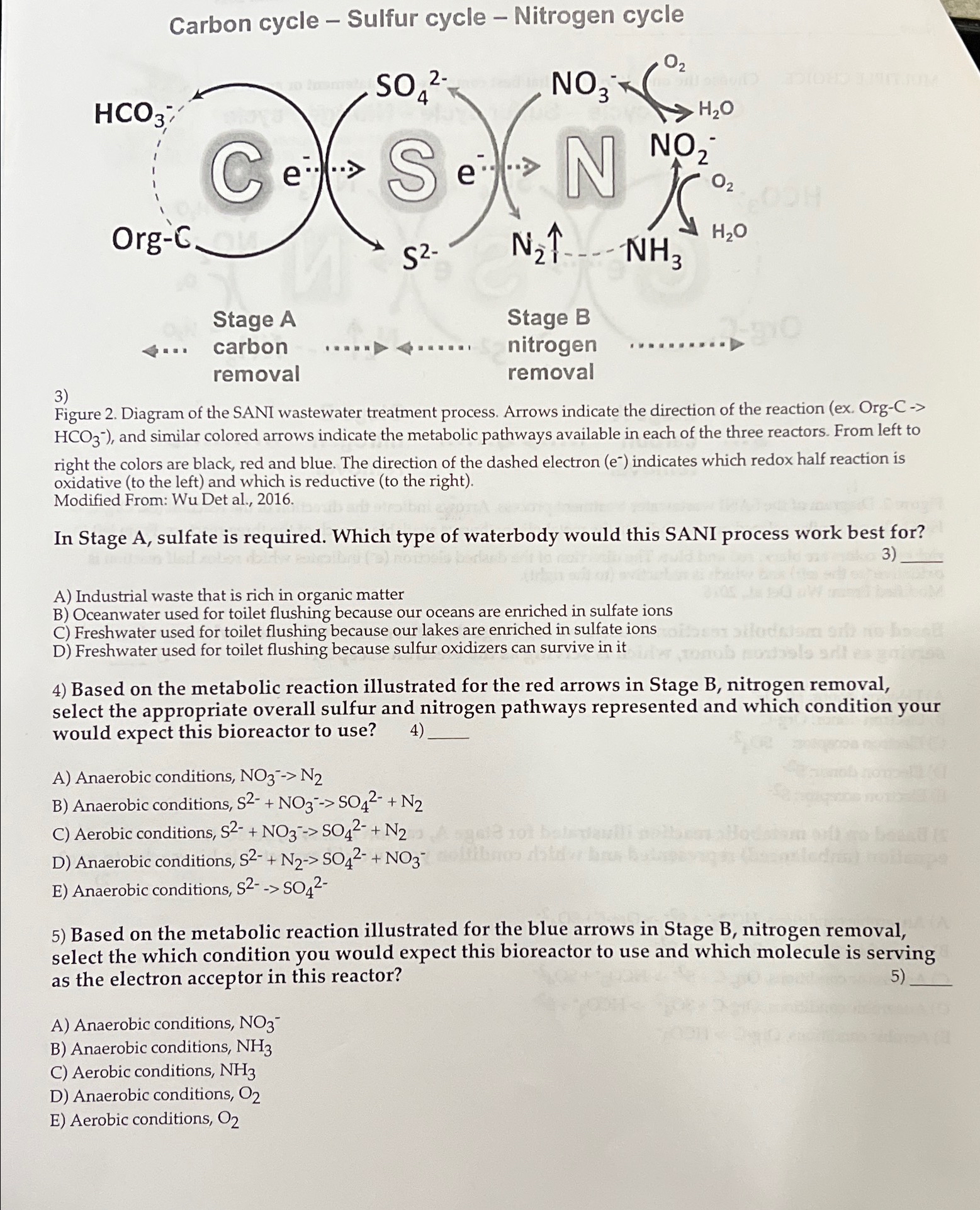 Solved Carbon cycle - ﻿Sulfur cycle - ﻿Nitrogen cycleFigure | Chegg.com
