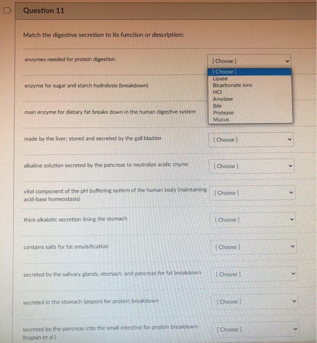 Solved Question 11 Match the digestive secretion to its | Chegg.com