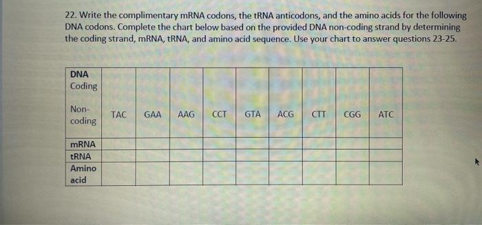 Solved 22. Write the complimentary mRNA codons, the tRNA | Chegg.com