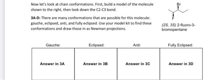Solved Now let's look at chain conformations. First, build a | Chegg.com