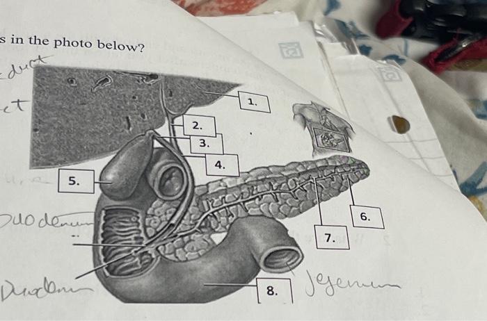 Solved in the photo below? | Chegg.com