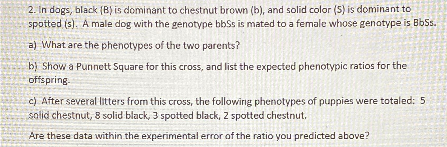 Solved In dogs, black (B) ﻿is dominant to chestnut brown | Chegg.com