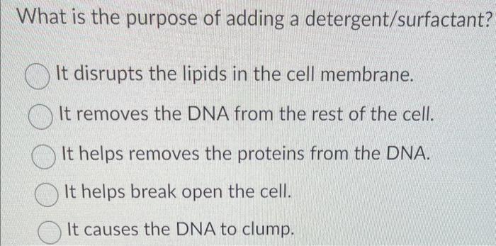 Solved What is the purpose of using a salt solution? It | Chegg.com