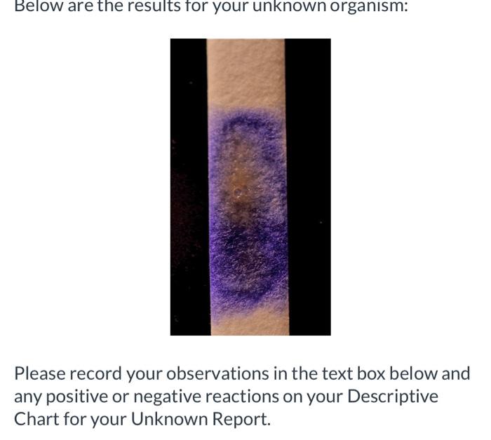 Below are the results for your unknown organısm: | Chegg.com
