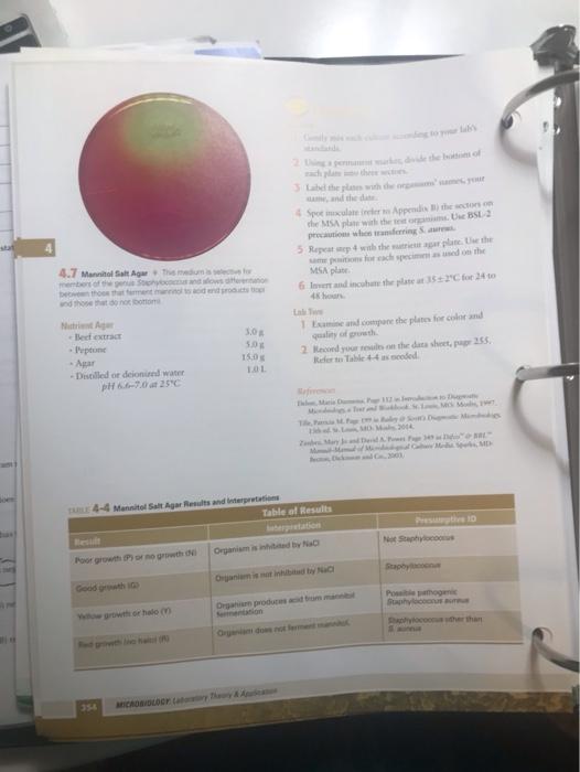 Selective and Differential Media Assignment Worksheet | Chegg.com