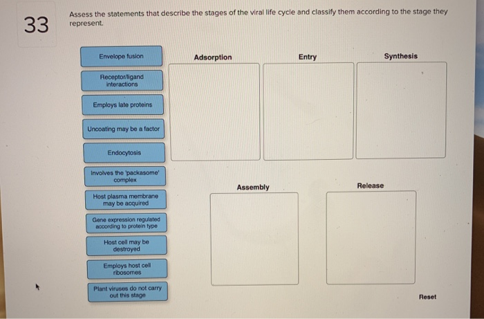 Solved 33 Assess the statements that describe the stages of | Chegg.com