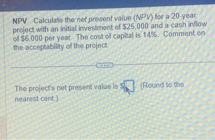 Solved NPV Calculate the net present value (NPV) for a 20 | Chegg.com