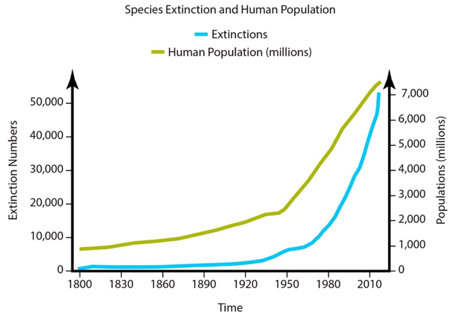 Solved Species Extinction and Human Populationwhich of the | Chegg.com