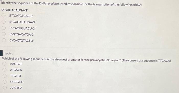 Solved Identify the sequence of the DNA template strand | Chegg.com