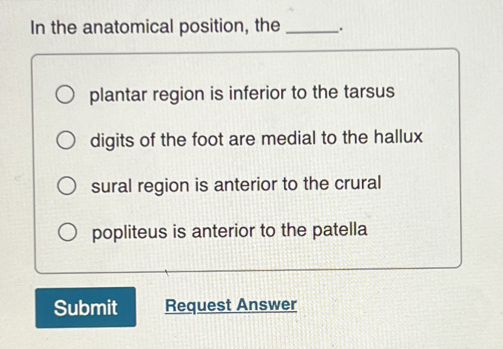 Solved In the anatomical position, the q,plantar region is | Chegg.com
