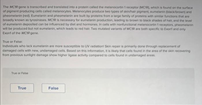 Solved The MCIR gene is transcribed and translated into a | Chegg.com