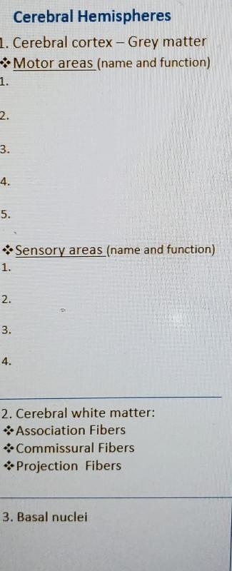 Solved Cerebral Hemispheres 1. Cerebral cortex - Grey matter | Chegg.com