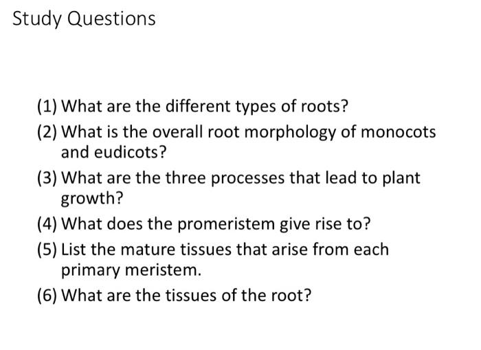 Solved Study Questions (1) What are the different types of | Chegg.com