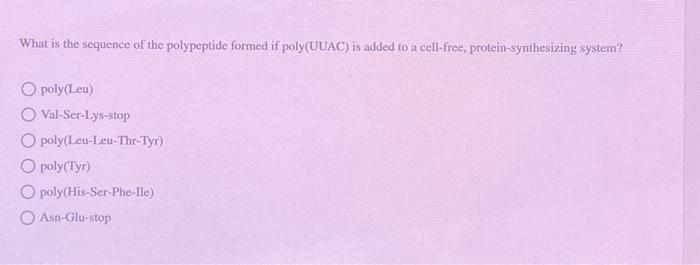 Solved What is the sequence of the mRNA molecule synthesized | Chegg.com