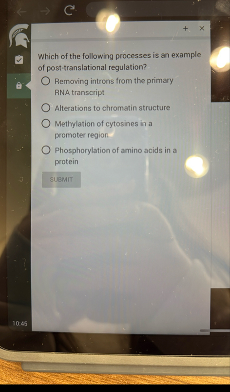 Solved Which of the following processes is an example of | Chegg.com
