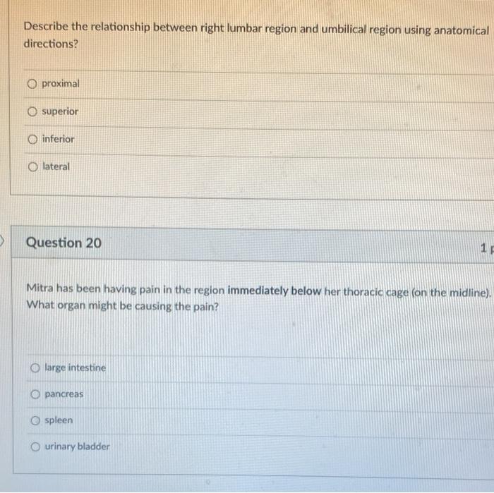 Solved Describe the relationship between right lumbar region | Chegg.com