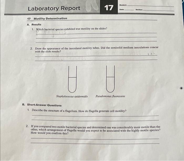 Student De Laboratory Report 17 Section 17 Motility | Chegg.com