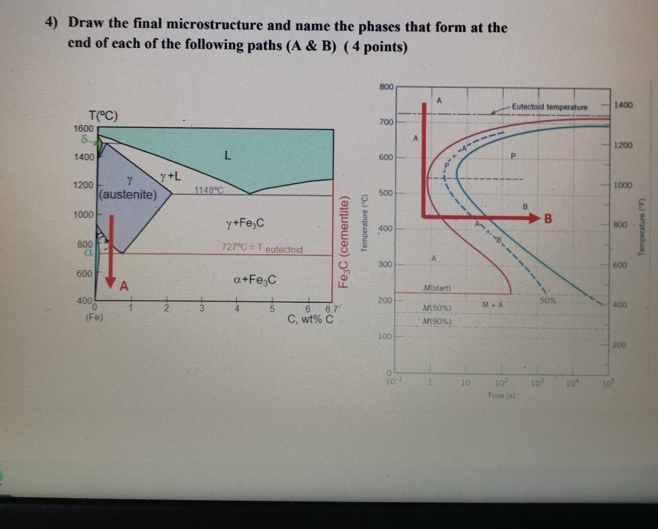 Solved 4) Draw the final microstructure and name the phases | Chegg.com