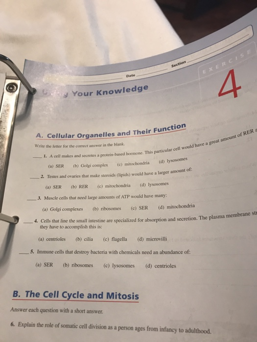 Solved Section EXERCIS Date Your knowledge A. Cellular | Chegg.com