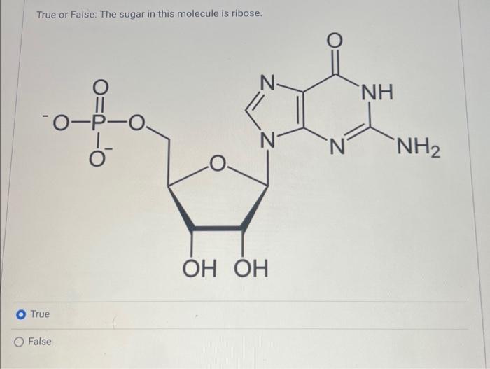 Solved True or False: The sugar in this molecule is ribose. | Chegg.com