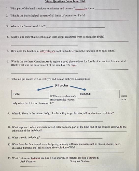 Solved Video Questions: Your Inner Fish 1. What part of the | Chegg.com