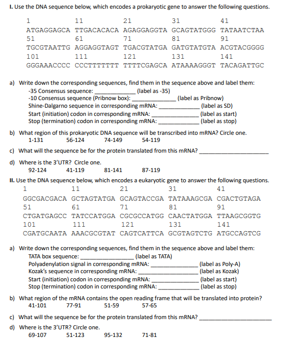 I. Use the DNA sequence below, which encodes a | Chegg.com