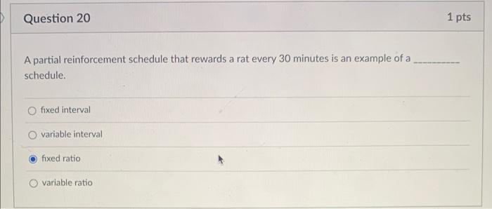 Solved A partial reinforcement schedule that rewards a rat | Chegg.com