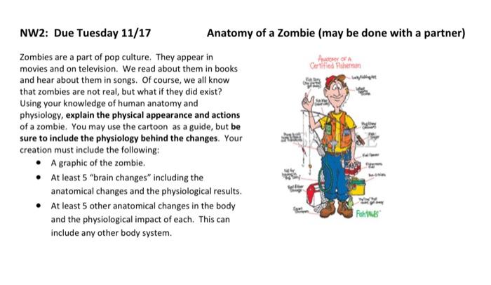 Solved NW2: Due Tuesday 11/17 Anatomy of a Zombie (may be | Chegg.com