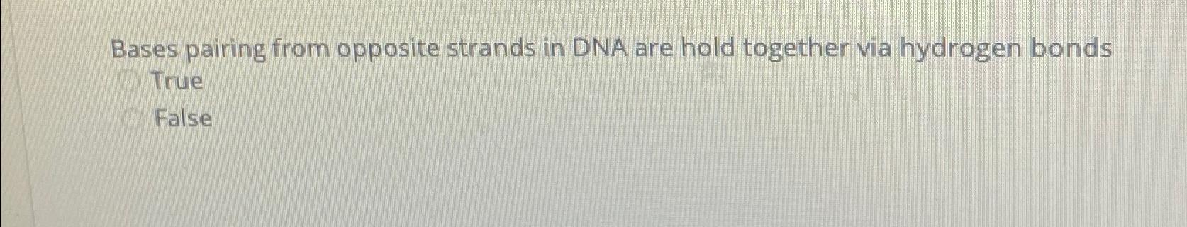 Solved Bases pairing from opposite strands in DNA are hold | Chegg.com