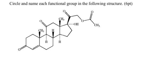 Solved Circle and name each functional group in the | Chegg.com