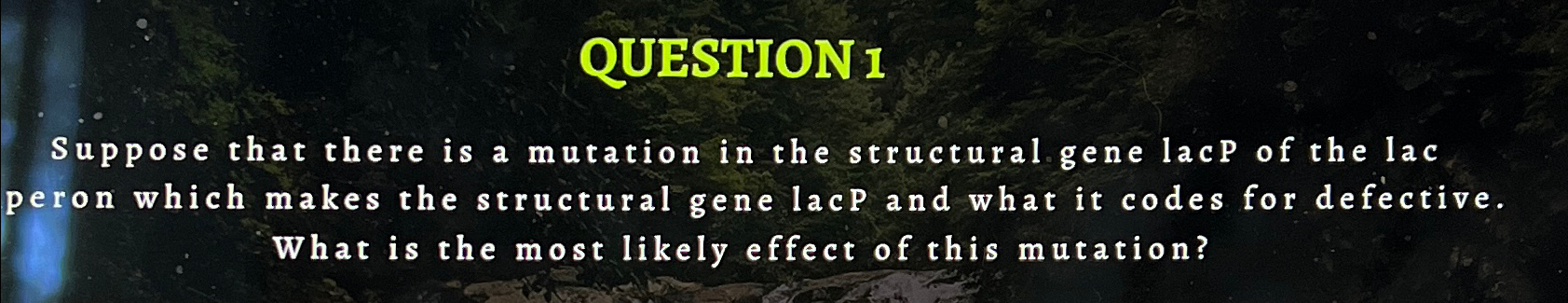 Solved QUESTION ISuppose that there is a mutation in the | Chegg.com