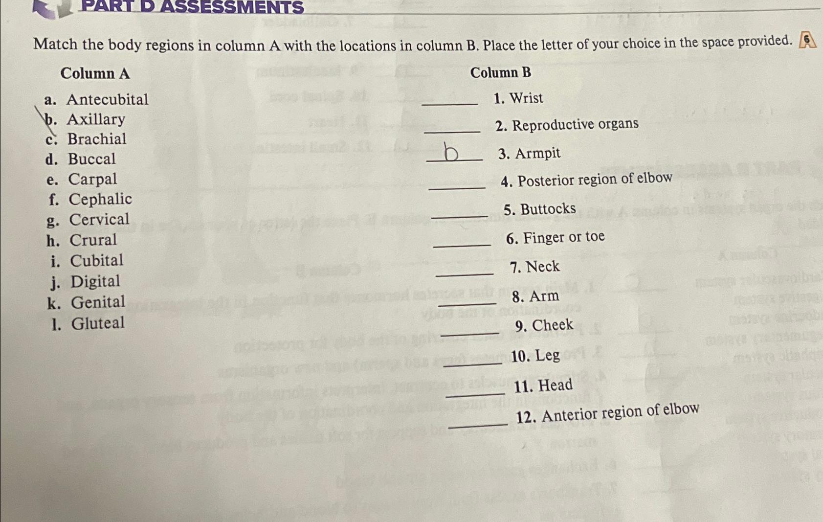 Solved Match the body regions in column A with the locations | Chegg.com