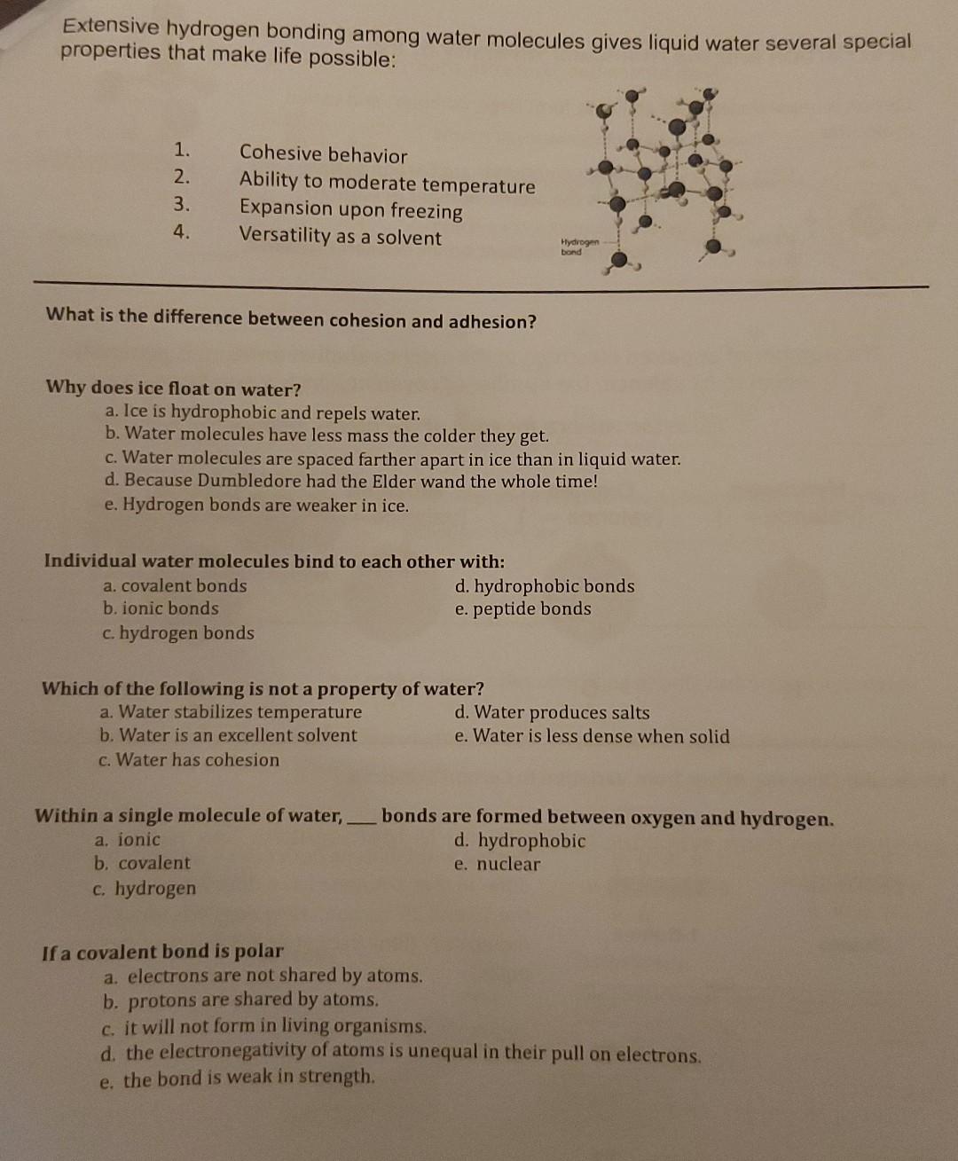 Solved Extensive hydrogen bonding among water molecules | Chegg.com