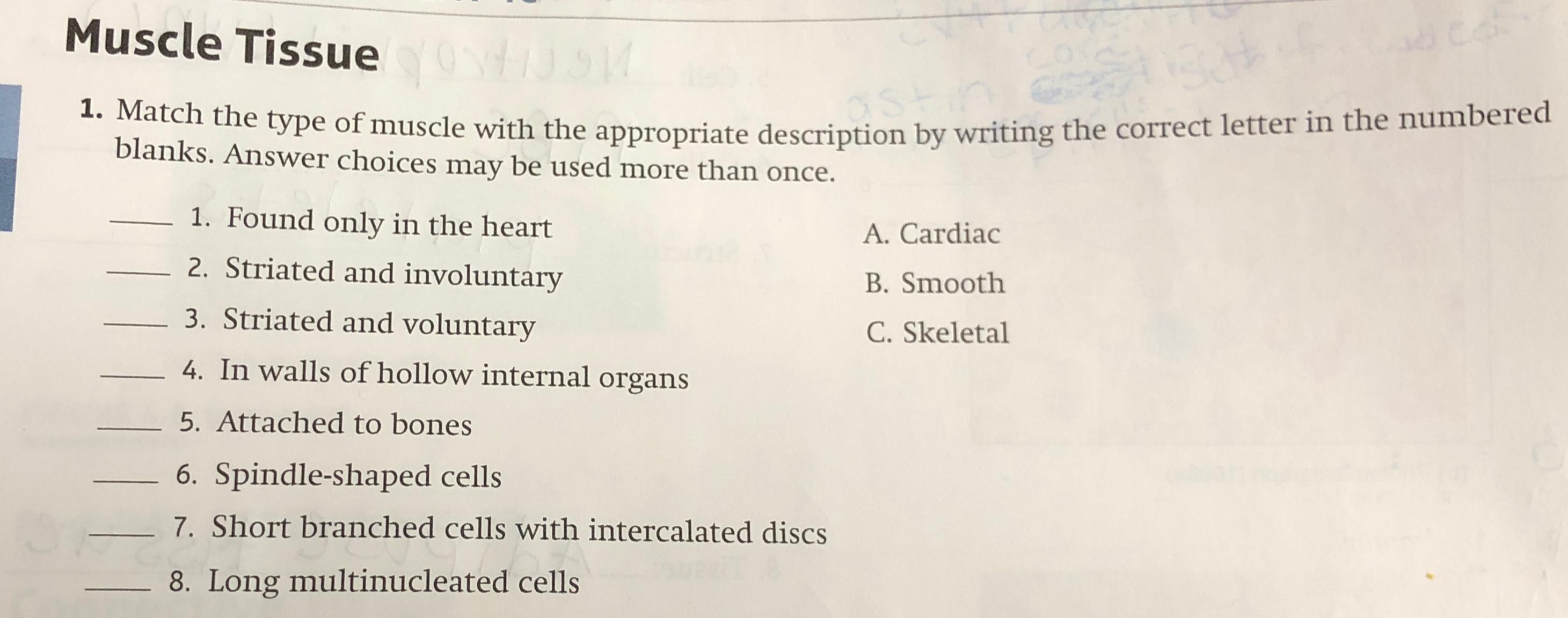 Solved Muscle TissueMatch the type of muscle with the | Chegg.com