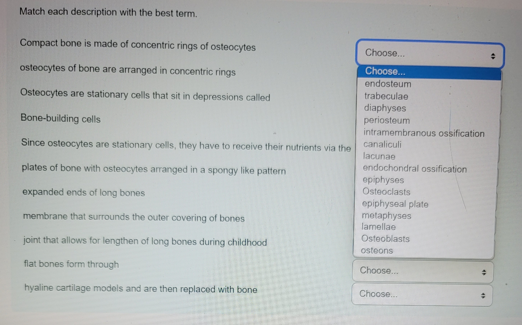 Solved Match each description with the best term.Compact | Chegg.com
