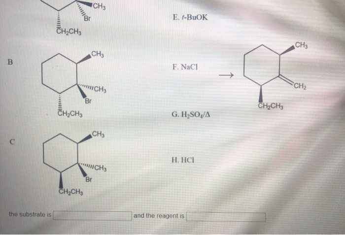 Solved Choose from the list of substrates and reagents below | Chegg.com