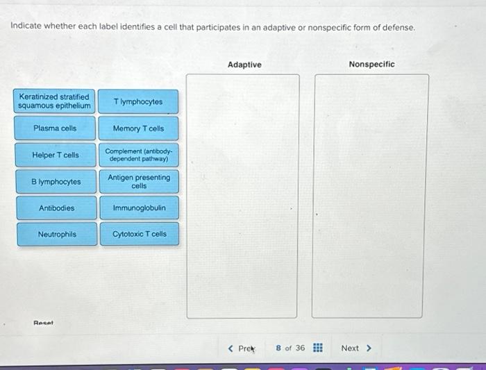 Solved Click and drag each box into the appropriate | Chegg.com