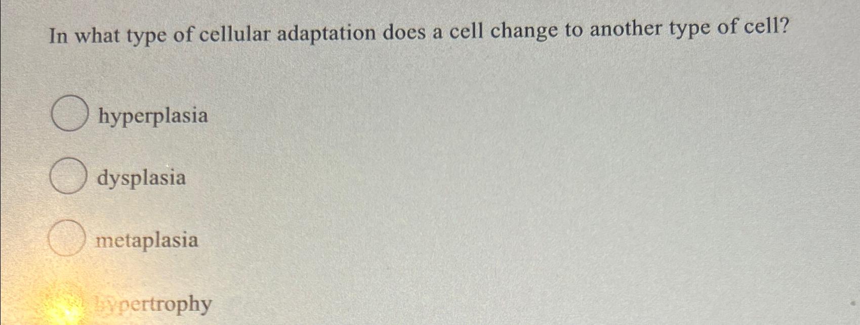 Solved In what type of cellular adaptation does a cell | Chegg.com