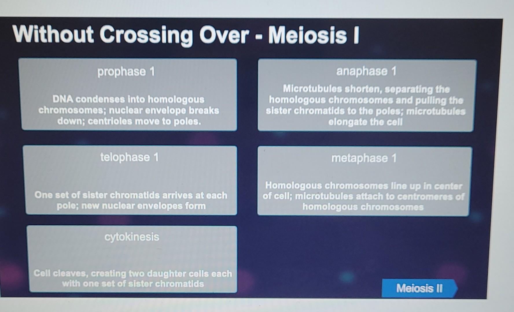 Solved Without Crossing Over - Meiosis prophase 1 DNA | Chegg.com