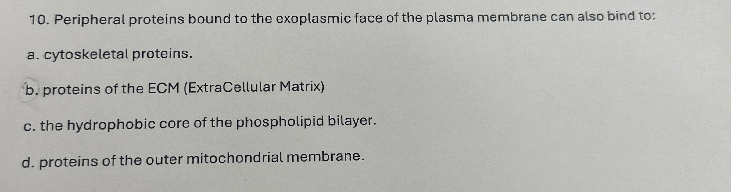 Solved Peripheral proteins bound to the exoplasmic face of | Chegg.com